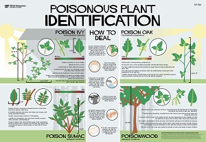 Poisonous Plants Chart