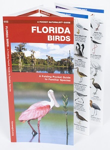 Florida Birds - A Folding Pocket Guide to Familiar Species