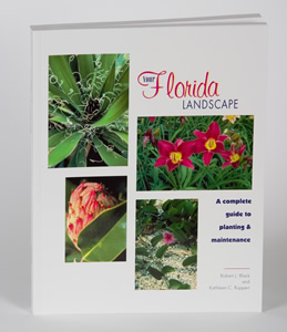 Your Florida Landscape: A Complete Guide to Planting and Maintenance