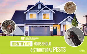 Identifying Household and Structural Pests ID Deck