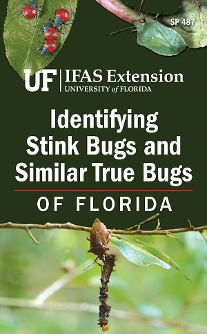 Florida Bugs Identification Insect Identification – Florida Hikes