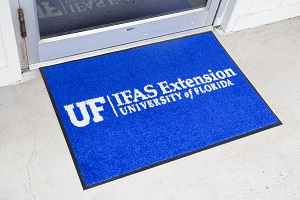 Extension Carpet Mat
