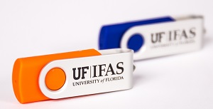 Before You Tie The Knot USB Flashdrive