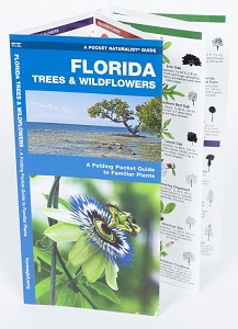 Florida Trees & Wildflowers - A Folding Pocket Guide to Familiar Species